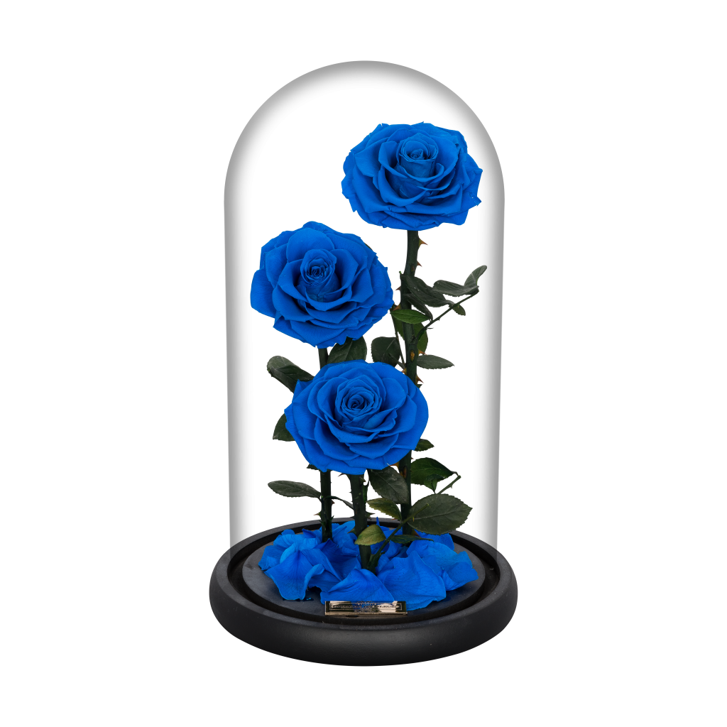 LA ROSE TRIPLE ROYAL BLUE - Royaume des Fleurs